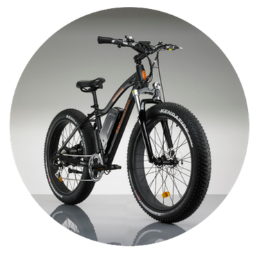 Rad Power electric bikes spreads to 28 European countries - BikeBiz