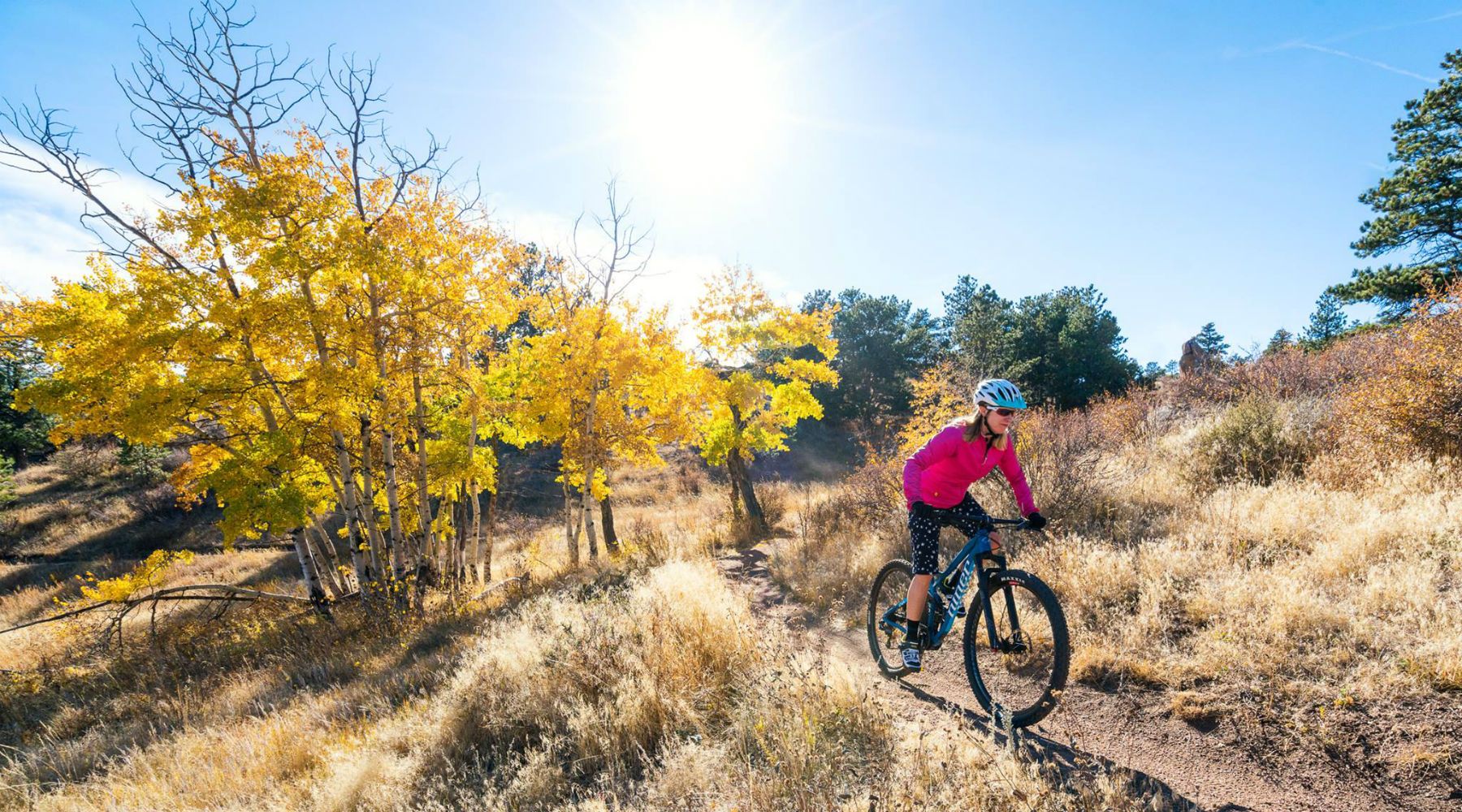 Niner goes dealer-direct in Germany and Austria - BikeBiz